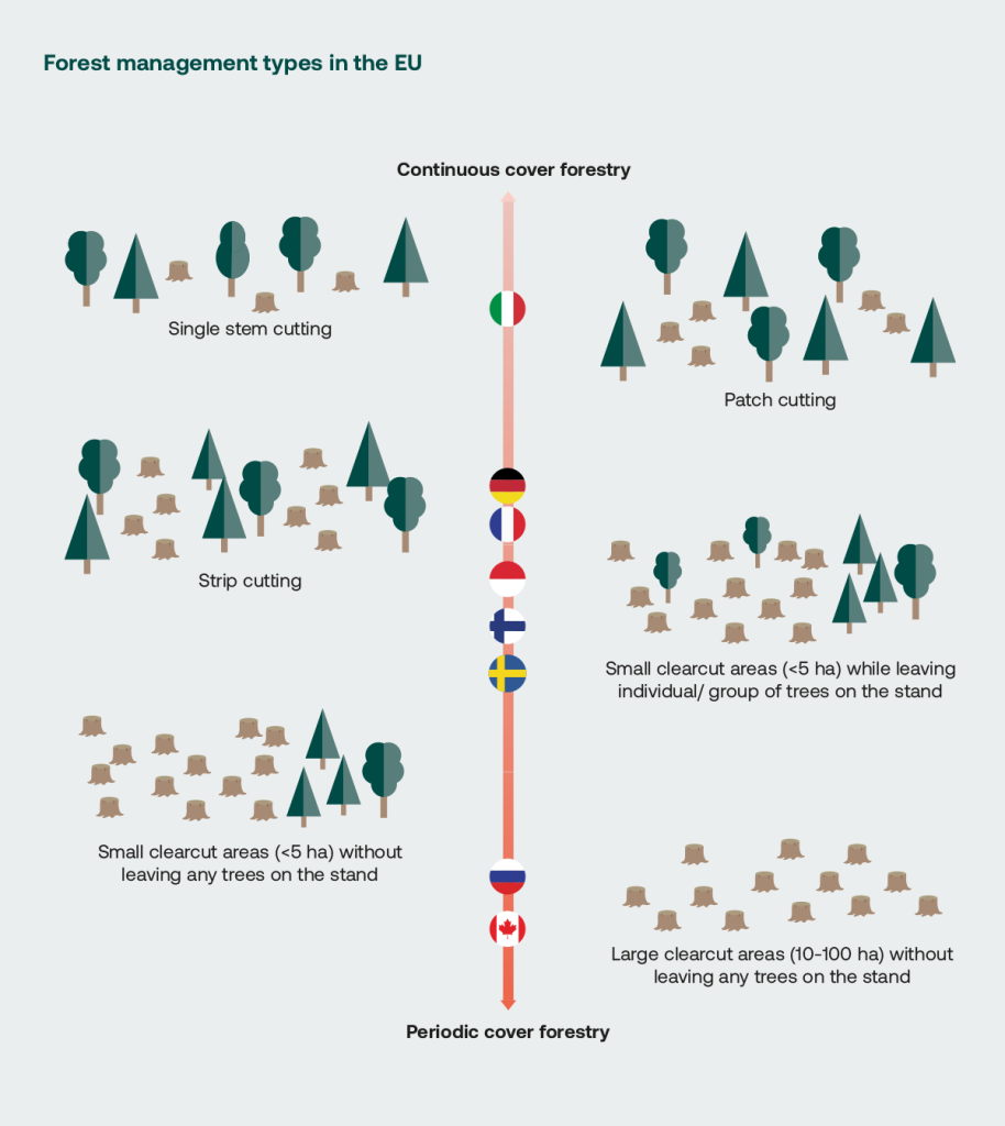 The European Forests - Framtidens skogsnäring
