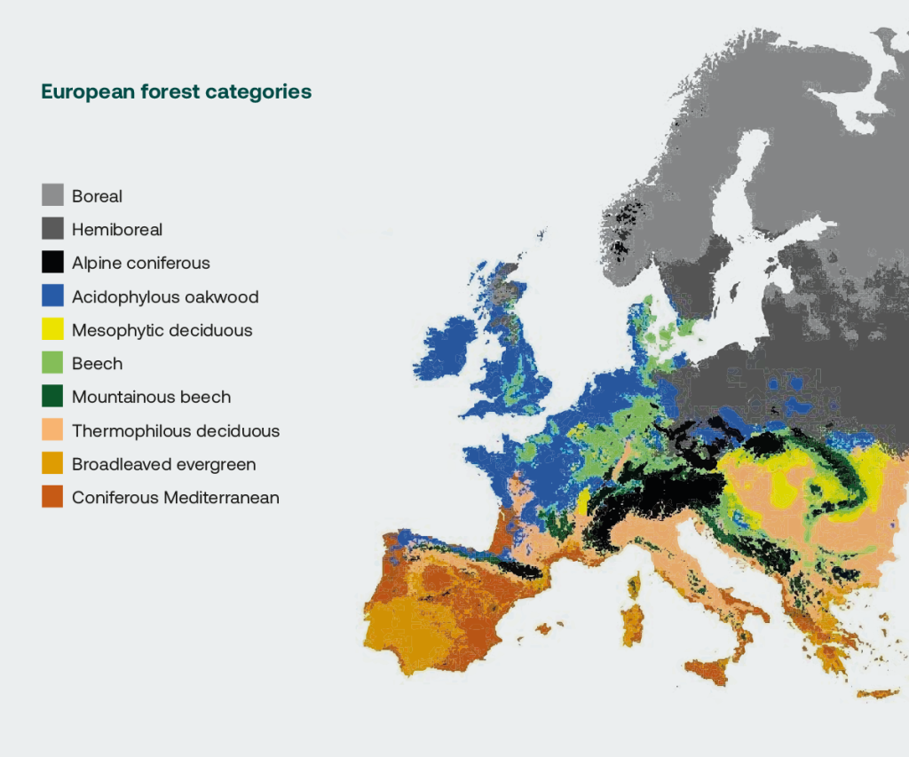 The European Forests - Framtidens skogsnäring